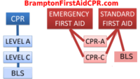 Different Levels of CPR Training – Brampton First Aid CPR